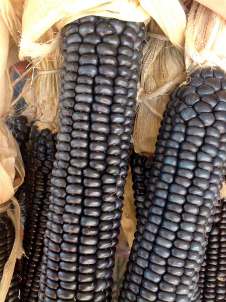 Buy locally grown vegetables seeds | Vegetables