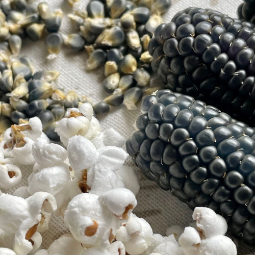 Buy locally grown vegetables seeds | Vegetables